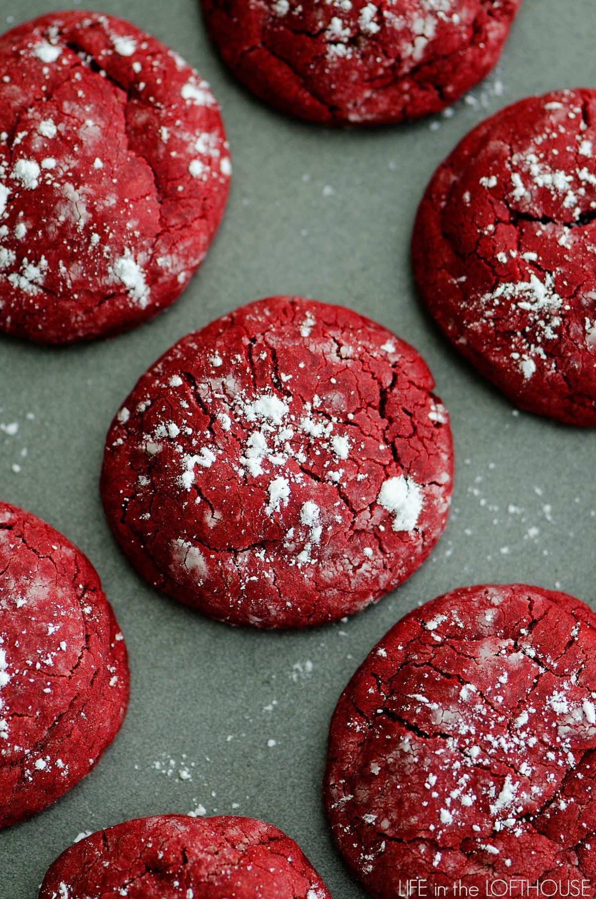 Red Velvet Crinkle Cookies - Life In The Lofthouse