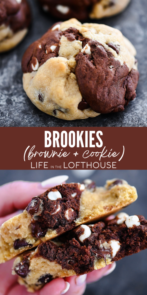 Brookies - Life In The Lofthouse