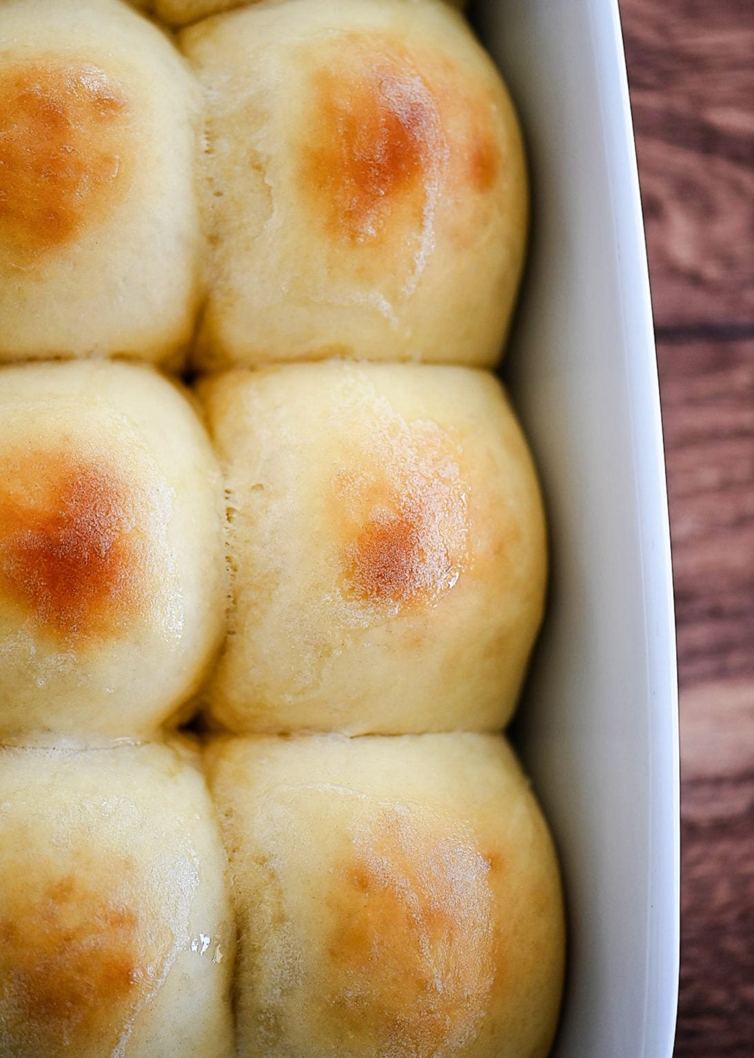 World's Best Dinner Rolls